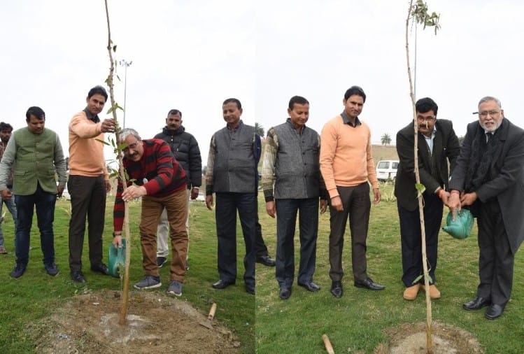 बेटियों के बेहतर भविष्य की कामना में रोपे 1100 पौधे, यहां देखें ...