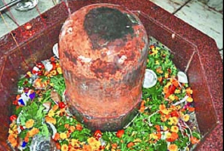 अपार है बिल्वपत्र की महिमा, इसकी जड़ों में है महादेव का वास और वातावरण ...