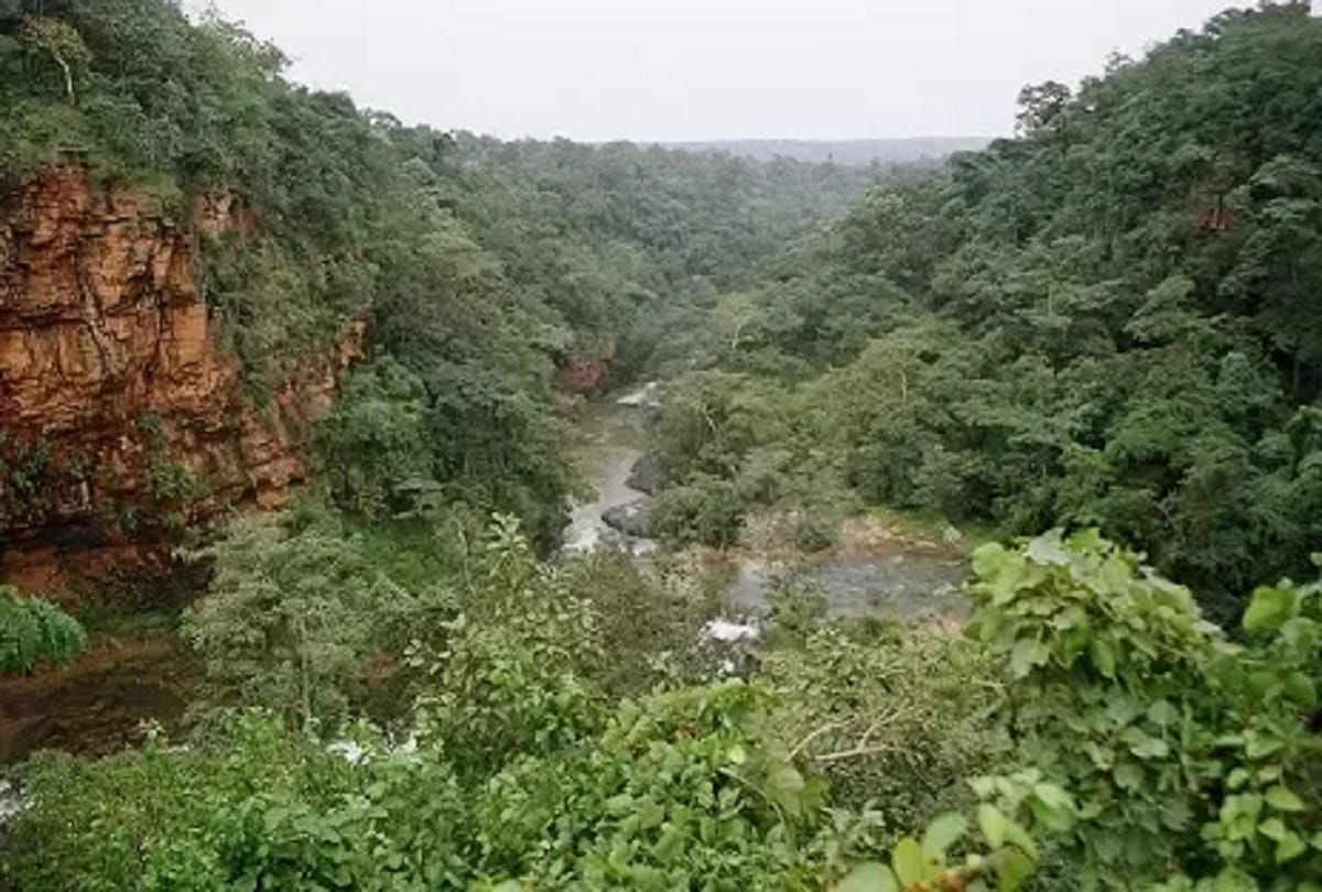 Chhattisgarh:हसदेव अरंड वन क्षेत्र में कोयला खदान परियोजना पर लगी रोक ...