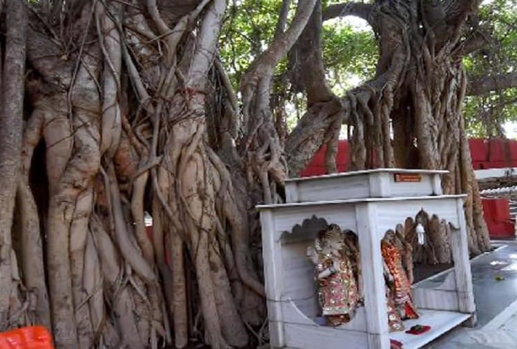 मूल अक्षय वट व सरस्वती कूप में आज से दो पालियों में दर्शन - The ...