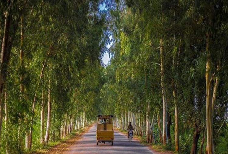 Abohar Best Destination In Punjab - Amar Ujala Hindi News Live - पंजाब ...