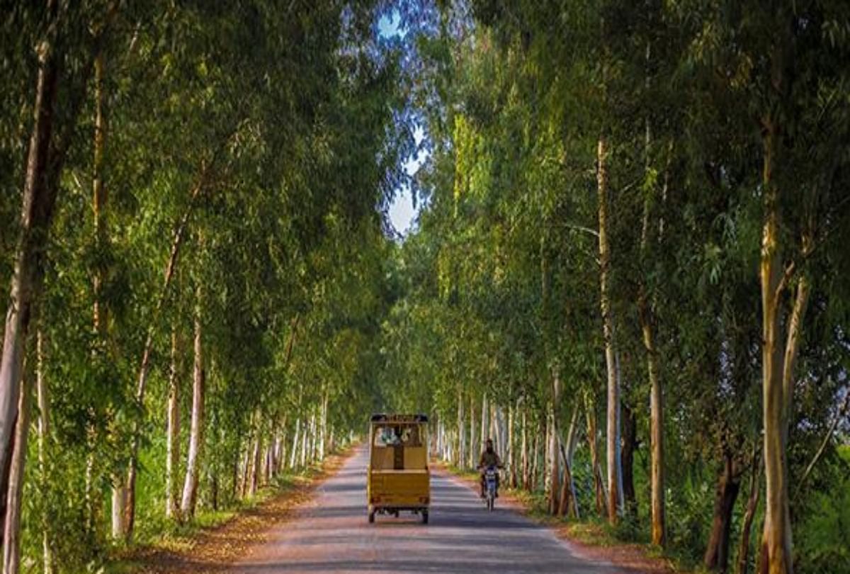 Abohar Best Destination In Punjab - Amar Ujala Hindi News Live - पंजाब ...