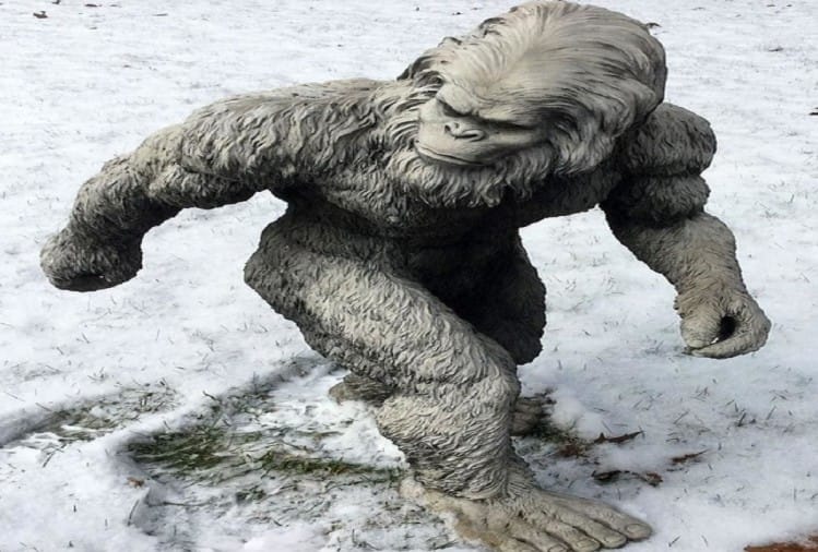 हिमालय में दिखा हिममानव!, जानिए क्या होते हैं 'येति' और क्या कहता है ...