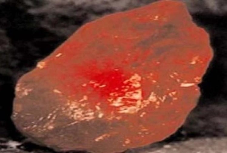 इस किले में आज भी मौजूद है 'चमत्कारी पारस पत्थर', लोहे को भी बना सकता ...