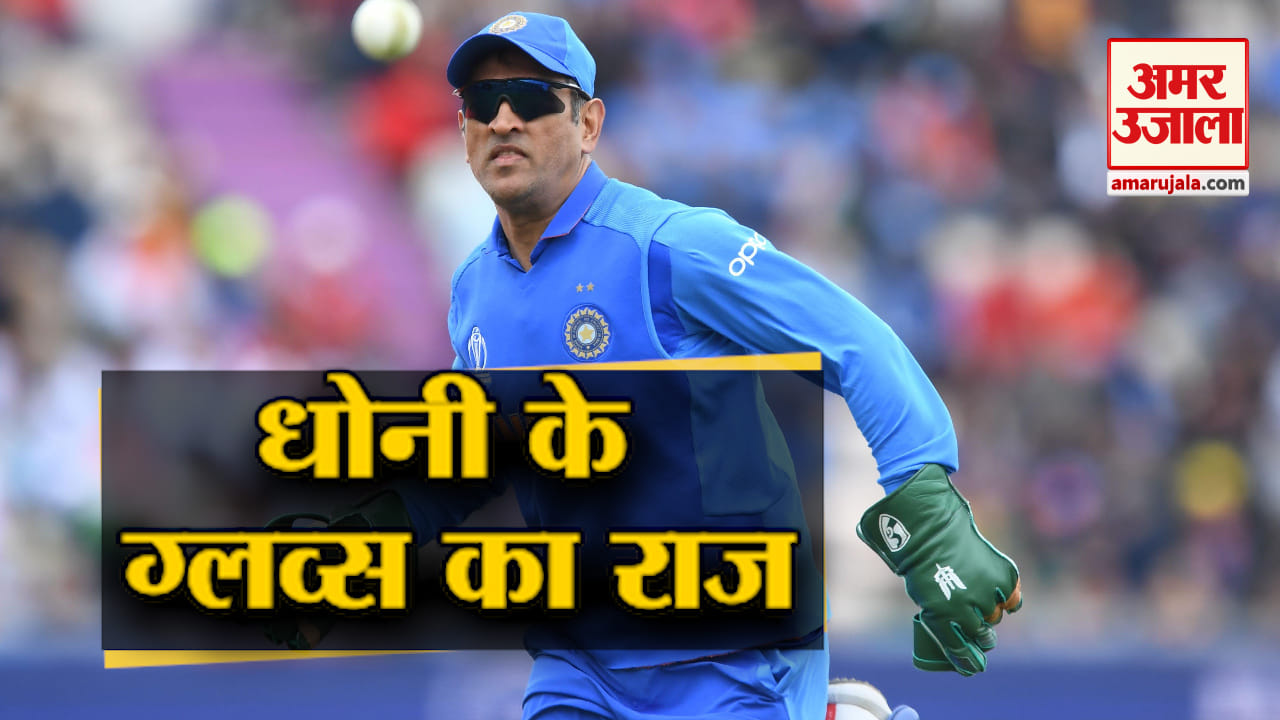 Ms Dhoni Gloves Para Wings Insignia , Balidan Badge Of Para Commando ...