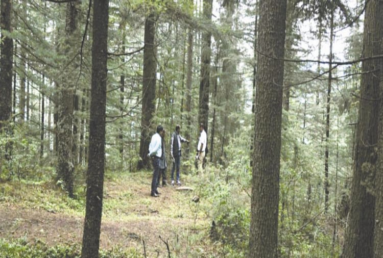 गुड़िया प्रकरण:आरोपी सूरज को पुलिस कस्टडी में लगी थी चोट - Gudiya Case ...