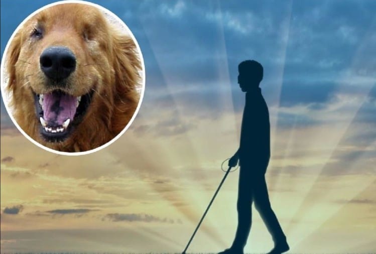 Tiltepec Village Mexico Where Human To Animals Everyone Is Blind - Amar ...