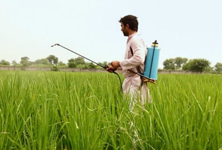 कीटनाशक के छिड़काव के दौरान लापरवाही हो सकती है खतरनाक, इन तरीकों से ...
