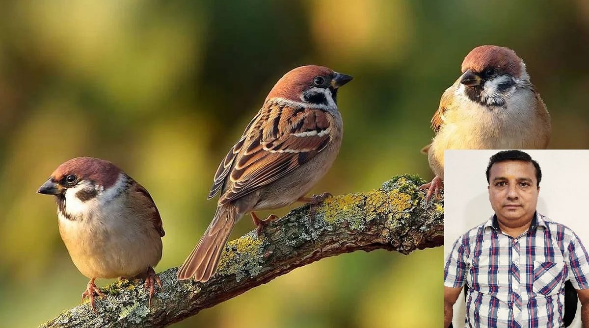 Meet Gauraiya Lover Arjun, Who Saved Thousands Of Gauraiya Bird In ...