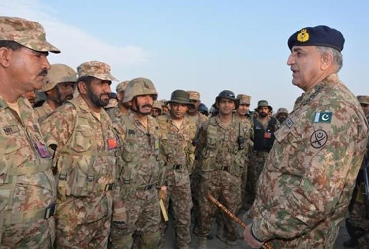 Pakistan:पाकिस्तान में मच्छरों से मुकाबले के लिए लेनी पड़ी सेना की मदद ...