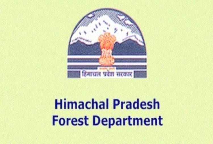 50 Deputy Rangers Became Range Officers In Himachal Forest Department ...