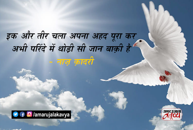 Teer Shayari Collection - Amar Ujala Kavya - 'तीर' जैसे रूपकों पर ...