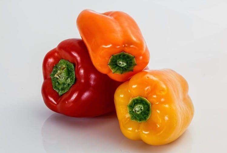 Know Interesting Facts About Capsicum Discovered By Columbus - Amar ...
