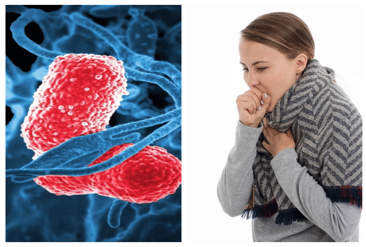 Pneumonia Symptoms Diagnosis In Winter - Amar Ujala Hindi News Live ...