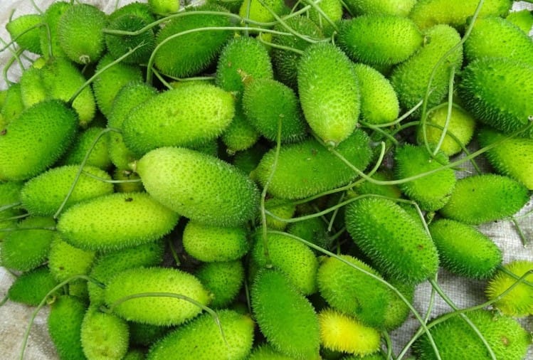 मोटापे की छुट्टी कर देगी ये सस्ती सब्जी, शरीर को बनाएगी फौलादी और कैंसर ...