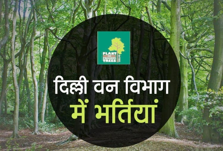 दिल्ली वन विभाग में निकलीं भर्तियां, 10वीं पास से लेकर स्नातक भी कर ...