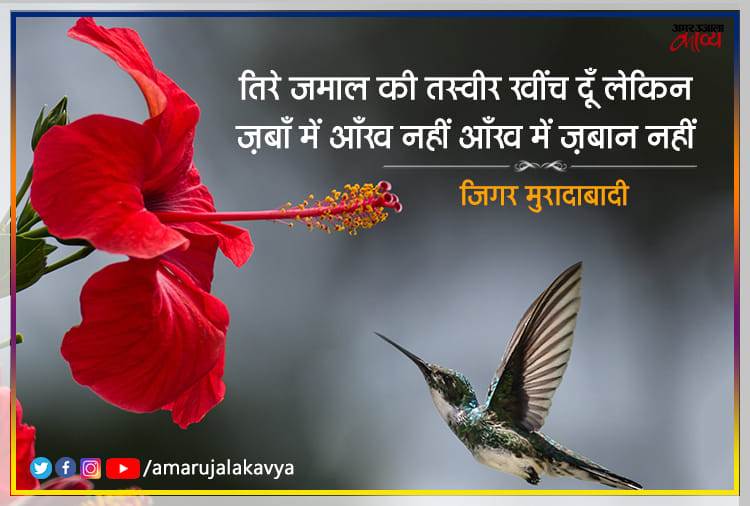 Khubsurati Shayari Collection - Amar Ujala Kavya - 'जमाल' यानि 'सौंदर्य ...