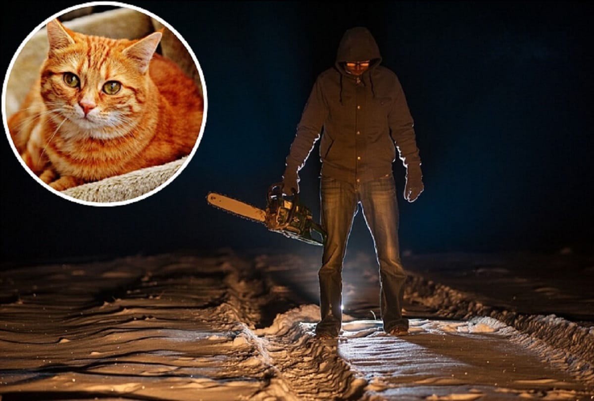 एक ऐसा अजीब सीरियल किलर, जो इंसानों का नहीं बिल्लियों का करता था कत्ल ...