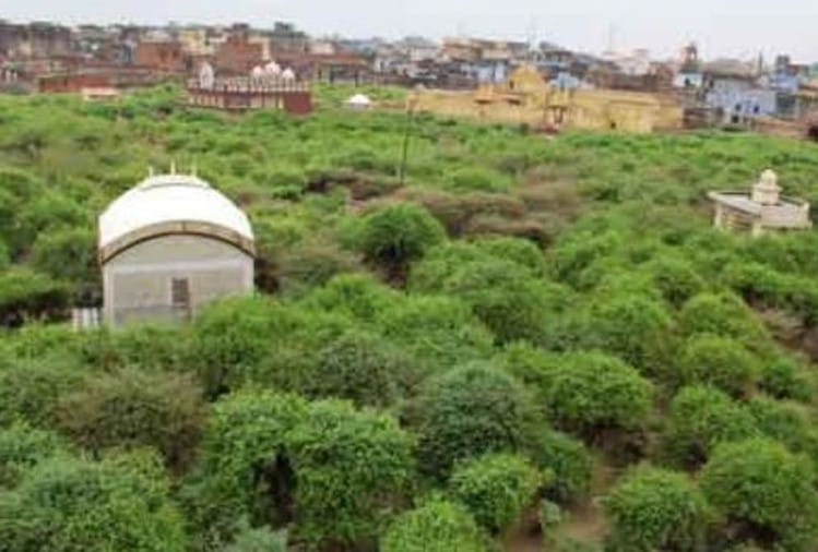 श्रीराधाकृष्ण की लीला स्थली वृंदावन में फिर हरे-भरे होंगे वन-उपवन और ...