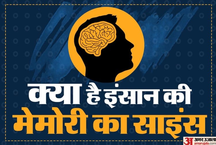 आखिर क्या हैं मेमोरी तेज करने के अचूक नुस्खे? किस तरह से होगा दिमाग तेज ...