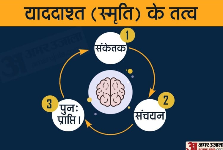 आखिर क्या हैं मेमोरी तेज करने के अचूक नुस्खे? किस तरह से होगा दिमाग तेज ...