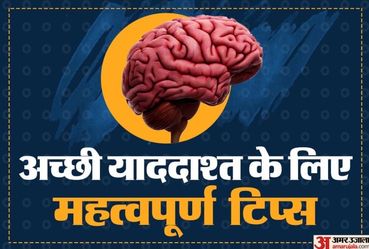 आखिर क्या हैं मेमोरी तेज करने के अचूक नुस्खे? किस तरह से होगा दिमाग तेज ...