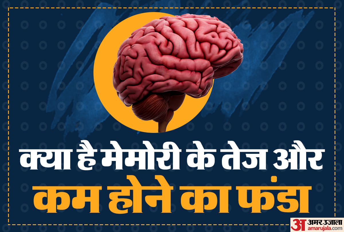 आखिर क्या हैं मेमोरी तेज करने के अचूक नुस्खे? किस तरह से होगा दिमाग तेज ...