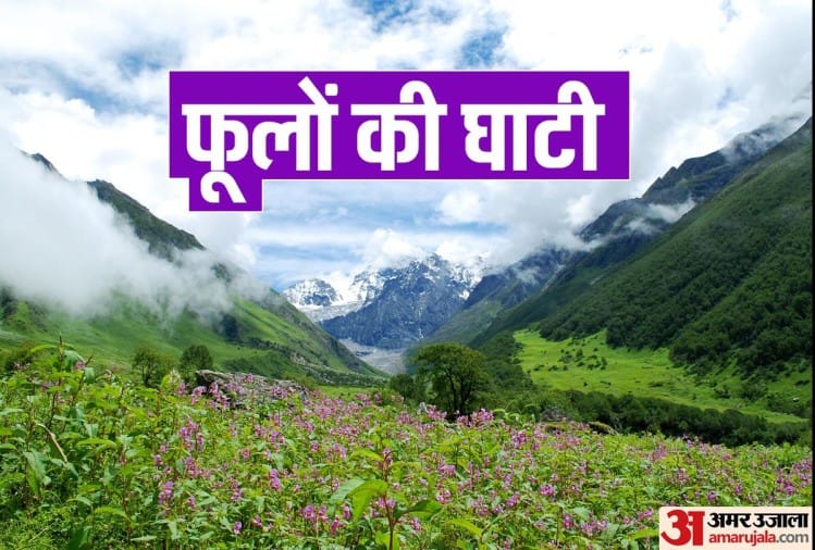 Uttarakhand Garhwal Fulo Ki Ghati Valley Of Flowers National Park ...