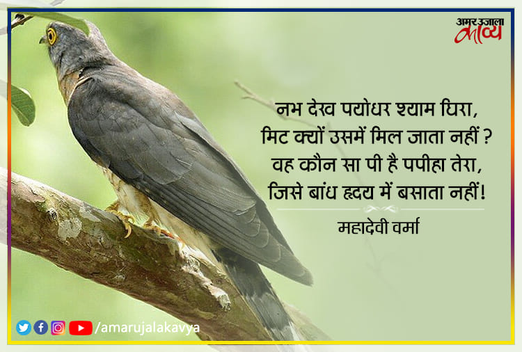 Mahadevi Verma Famous Poem In Hindi Papihe Se - Amar Ujala Kavya ...