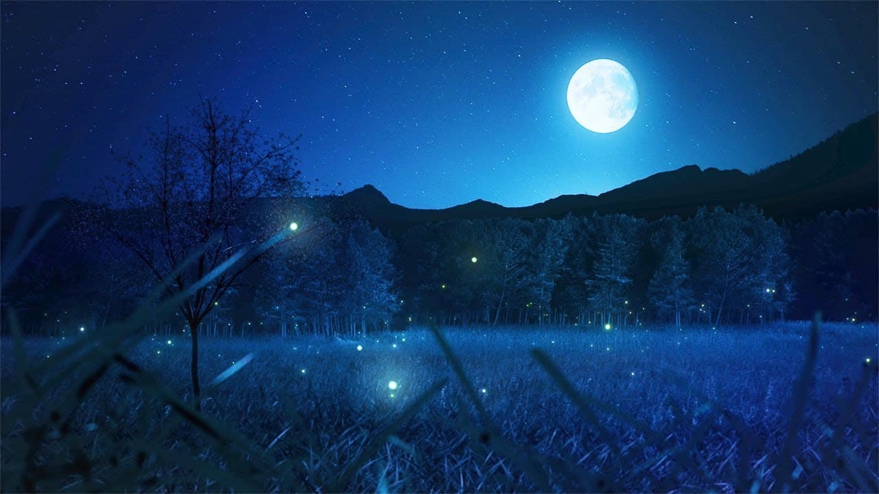 Raat Famous Shayari Collection - Amar Ujala Kavya - 'रात' पर कहे गए शेर...