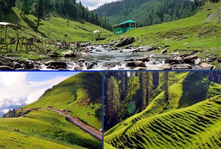 450 Families Arrived In The Bhadarwah Valley, With Thousands Of Flocks ...