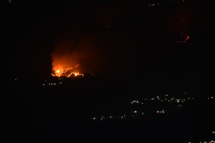 कोसी के विमोला के समीप जंगल में लगी आग - Forest Fire In Almora - Almora ...