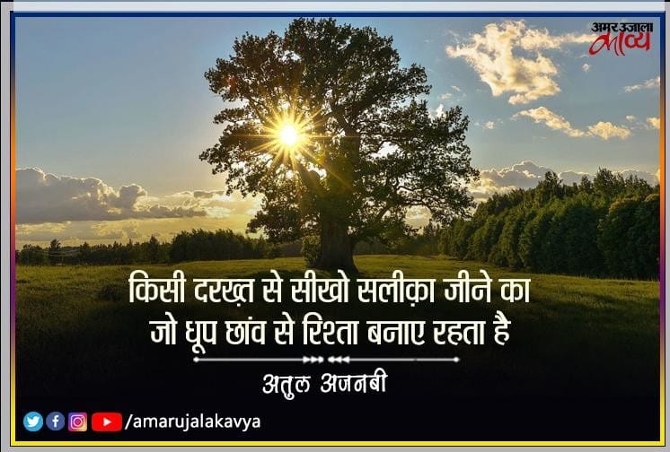 Darakht Shayari Collection - Amar Ujala Kavya - 'दरख़्त' यानी पेड़ पर ...