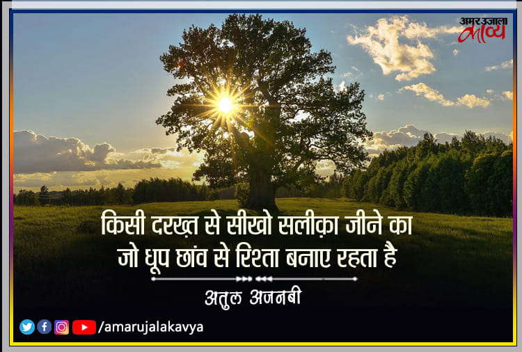 Darakht Shayari Collection - Amar Ujala Kavya - 'दरख़्त' यानी पेड़ पर ...