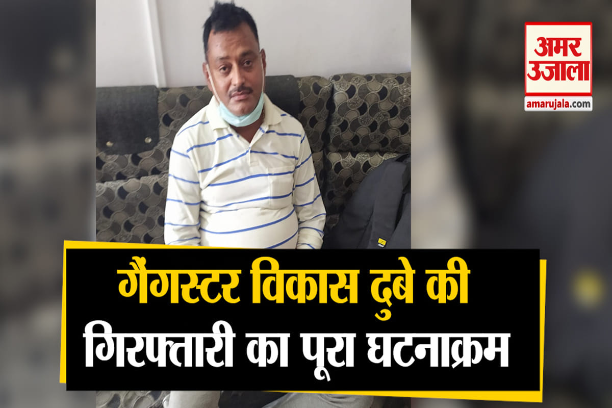 Vikas Dubey Arrest At Mahakal Temple In Ujjain Madhya Pradesh - Amar Ujala Hindi News Live ...