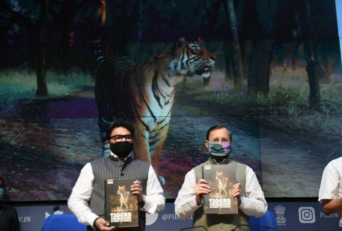 International Tiger Day 2020, Today Is World Tiger Day, India Is Home ...