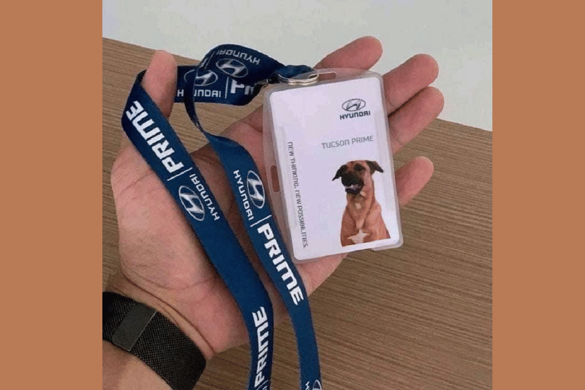 Hyundai Brazil में इम्पलॉई ऑफ द ईयर का खिताब मिला है एक कुत्ते को ...