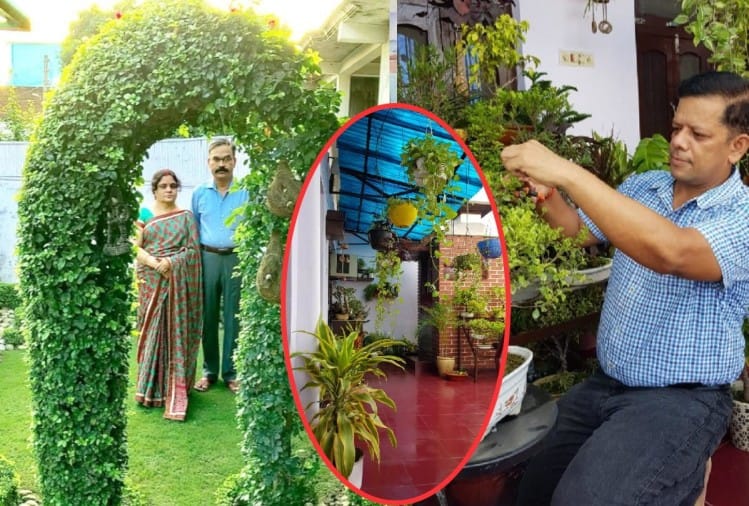 बागवानी का जुनून ऐसा की लॉन में तैयार किया रॉक गार्डन, मरीजों के साथ ...