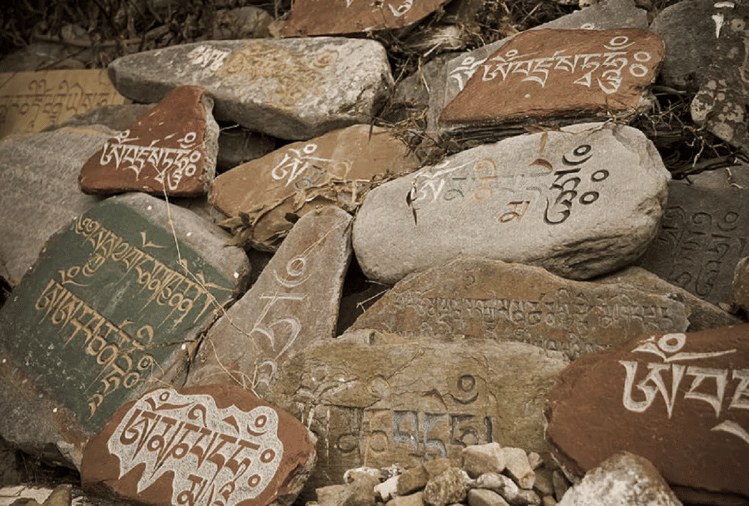 Most Rare Language In World Yaghan Left With Only One Native Speaker ...