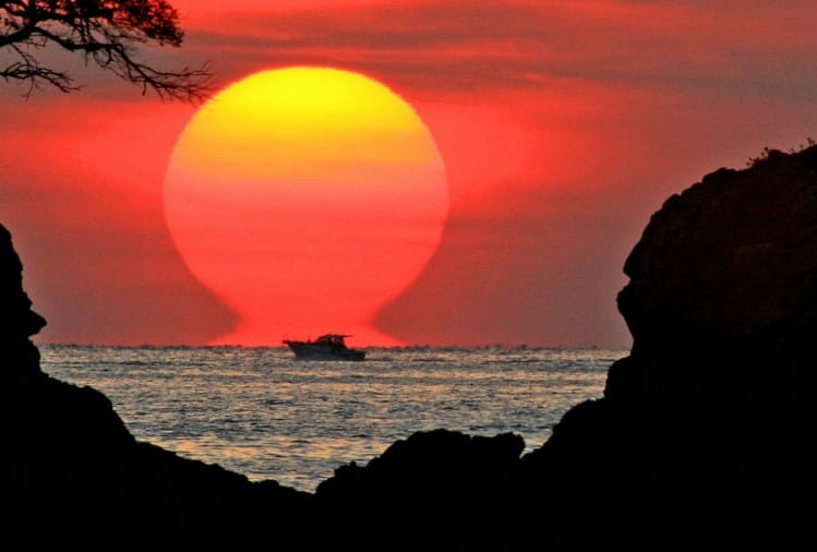 जानें क्या होती है गोधूलि बेला, पूजा-पाठ और मांगलिक कार्यों के लिए ...