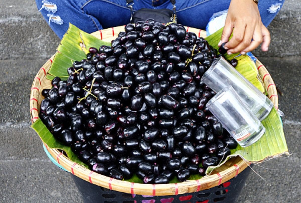 Health Benefits Of Jamun Seeds In Hindi Also Known Indian Blackberry Amar Ujala Hindi News Live