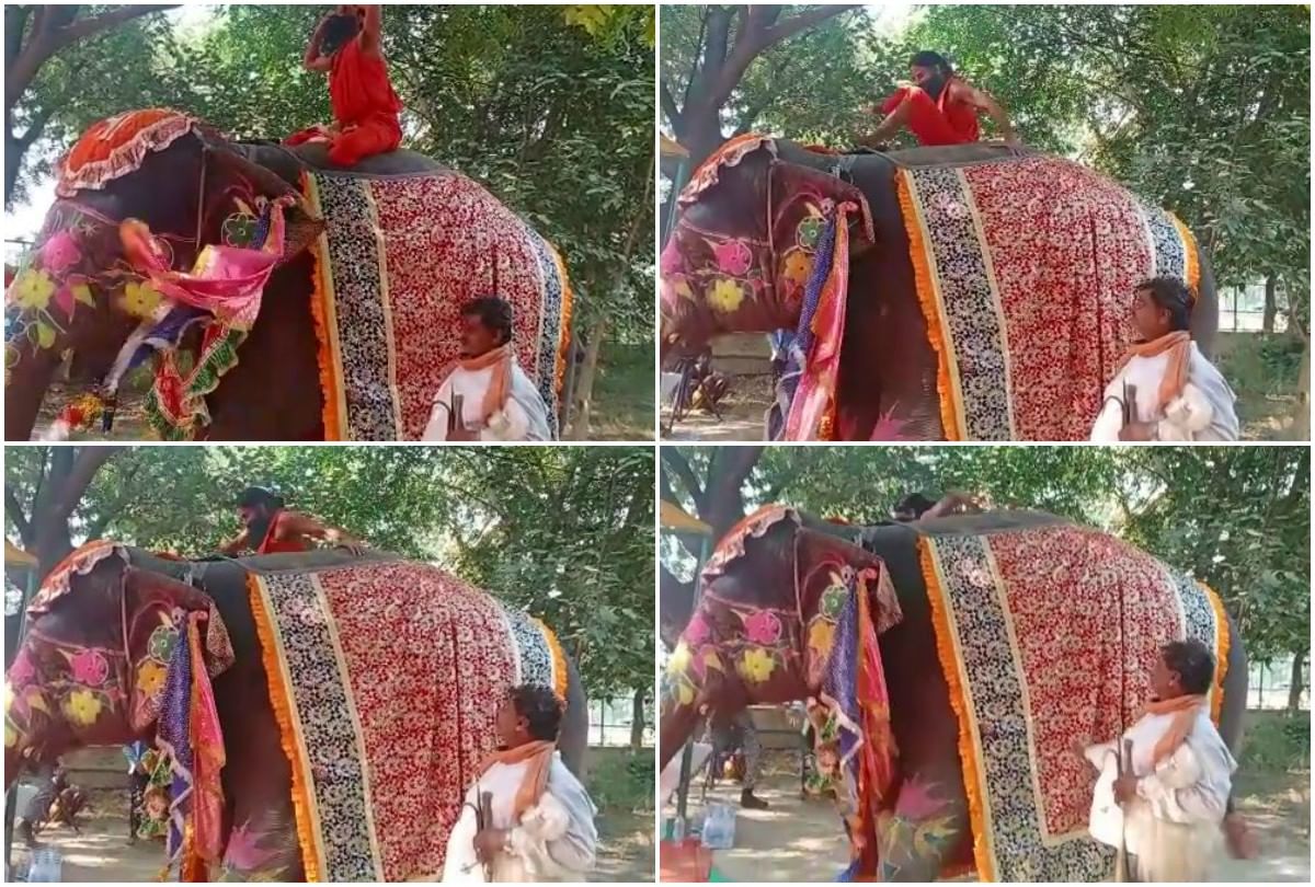 Baba Ramdev Ji Yoga Guru: Yoga Guru Baba Ramdev Fall From Elephant ...