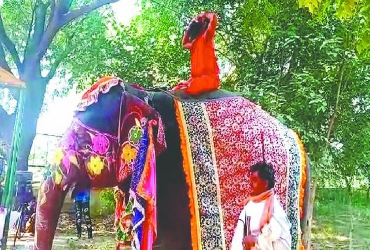 Court Case File Against Baba Ramdev Yoga At Elephant In Mathura - Amar ...