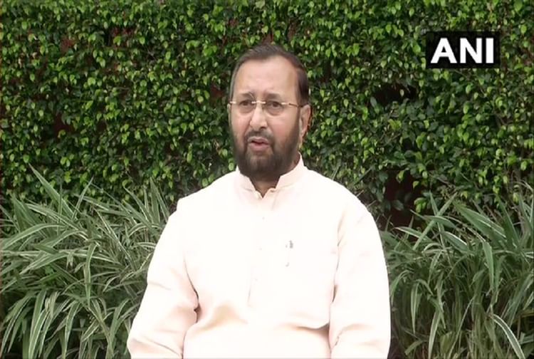 Bjp Mp Prakash Javadekar Said Pm Modi Is Being Liked Because Of Giving ...