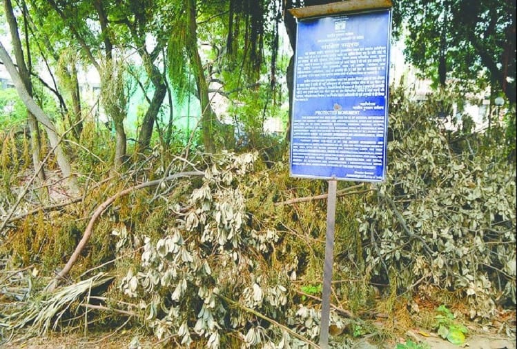 World Heritage Week: A Tale Of Unknown Tomb Of Ladli Begum Know History ...