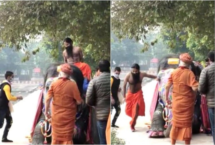 रमणरेती आश्रम में बाबा रामदेव ने की हाथी की सवारी, वोकल फॉर लोकल पर ...