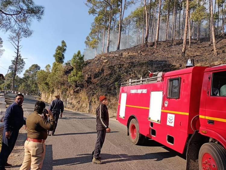 Forest Fire In Almora - Almora News - उदय शंकर नाट्य अकादमी के समीप ...