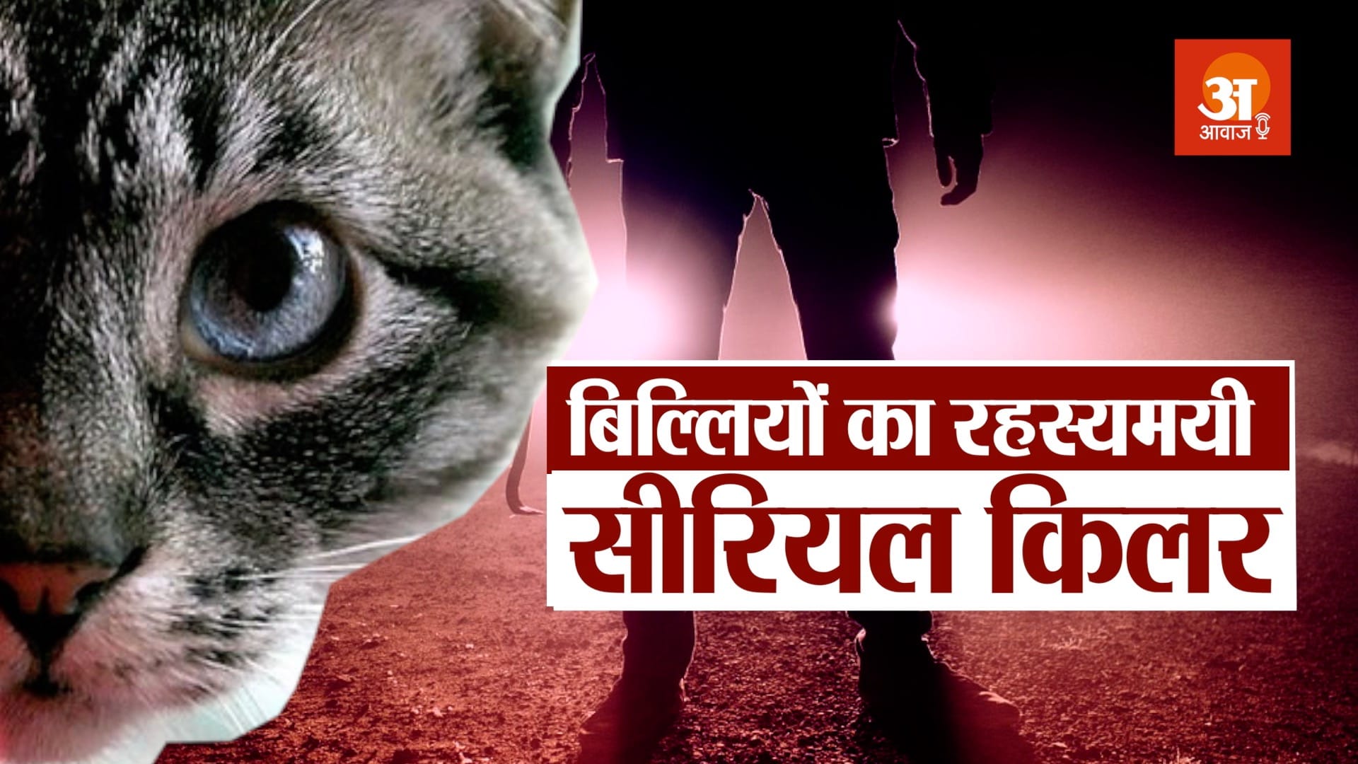 कौन करता था बिल्लियों का बेरहमी के साथ कत्ल? | Weird Stories Podcast