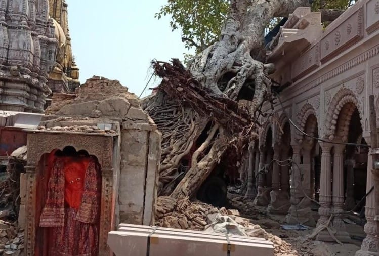 A Huge Banyan Tree Collapses In The Akshayavat Hanuman Temple Located ...