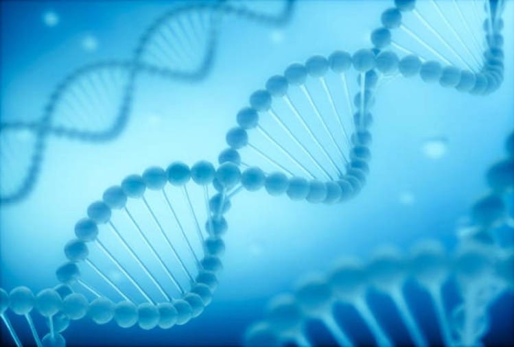 Dna Test Reveals Newborn Baby Not Swapped In Hospital Of Odisha - Amar ...